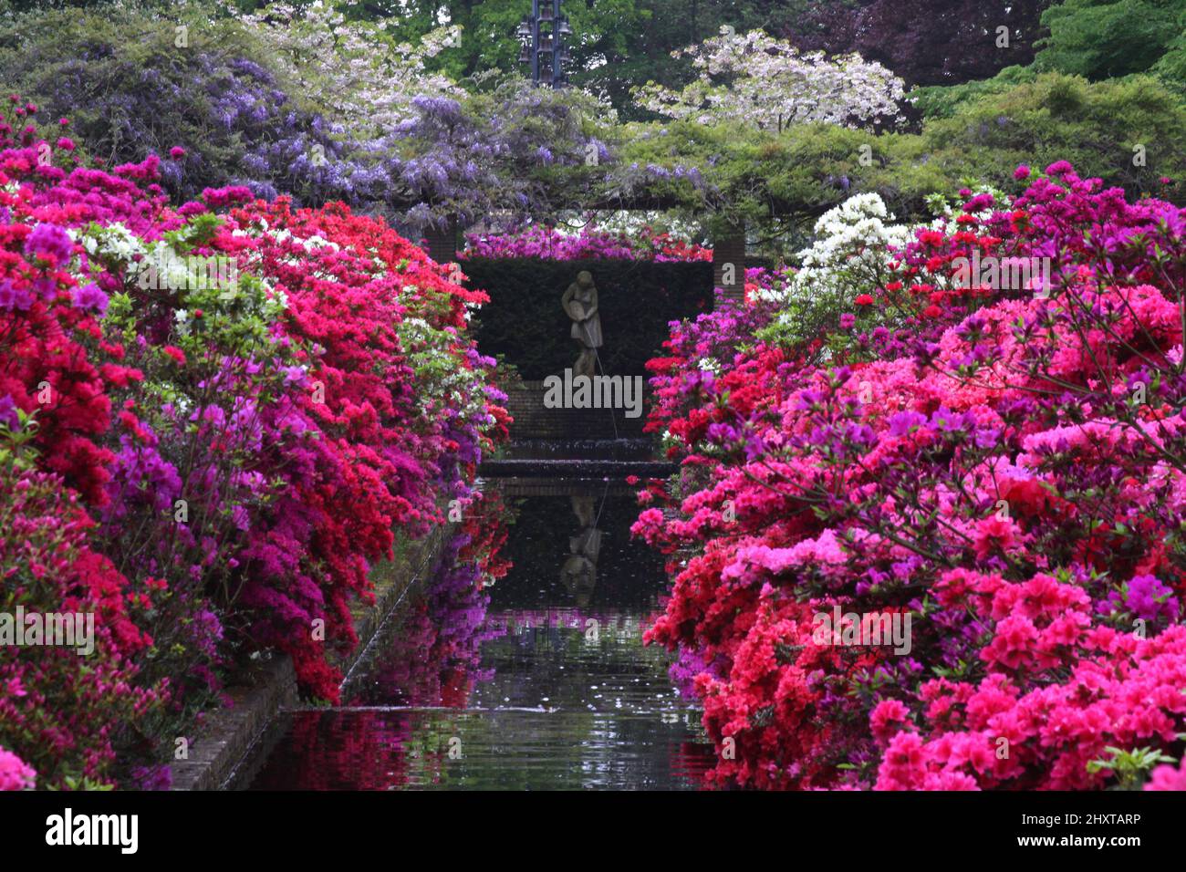 General view of flowers in Lisse, The Netherlands Stock Photo - Alamy