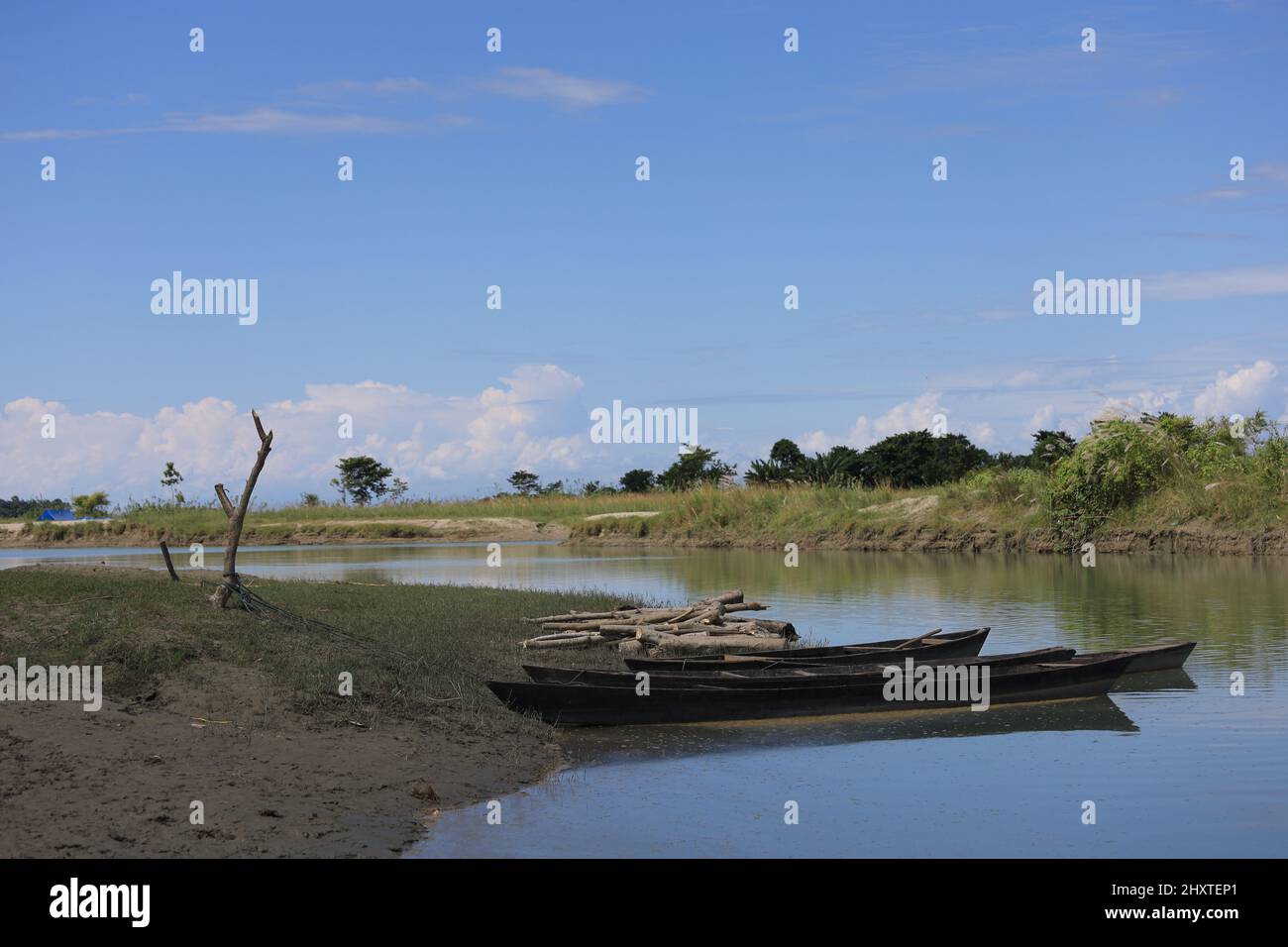 Beautiful assam hi-res stock photography and images - Alamy