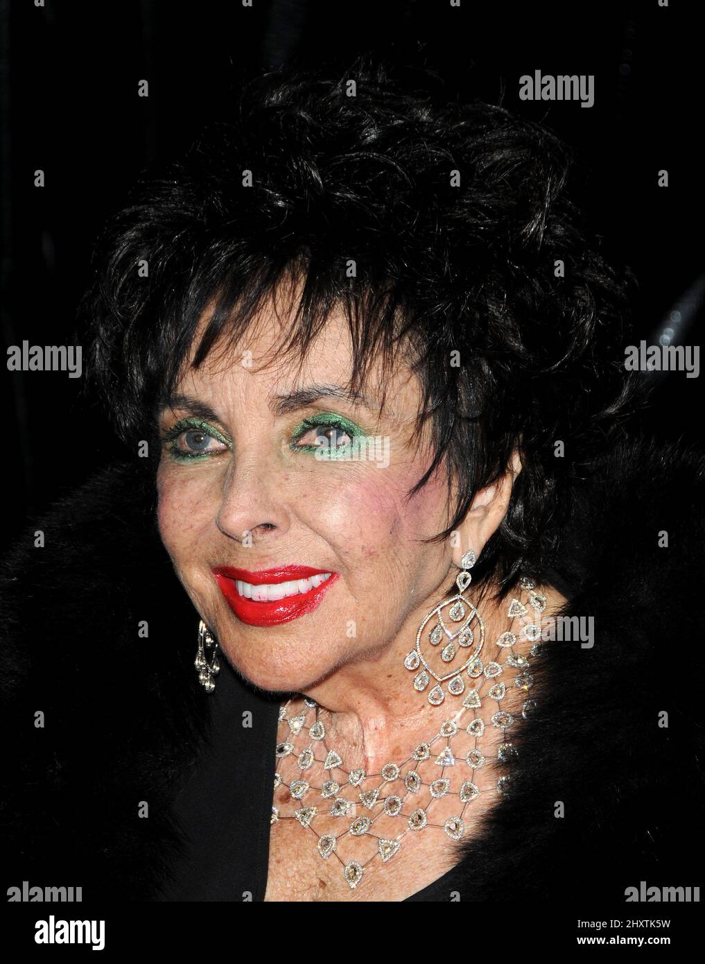 Elizabeth Taylor at the Macy's Passport 2008 Gala held at Barker Hangar ...
