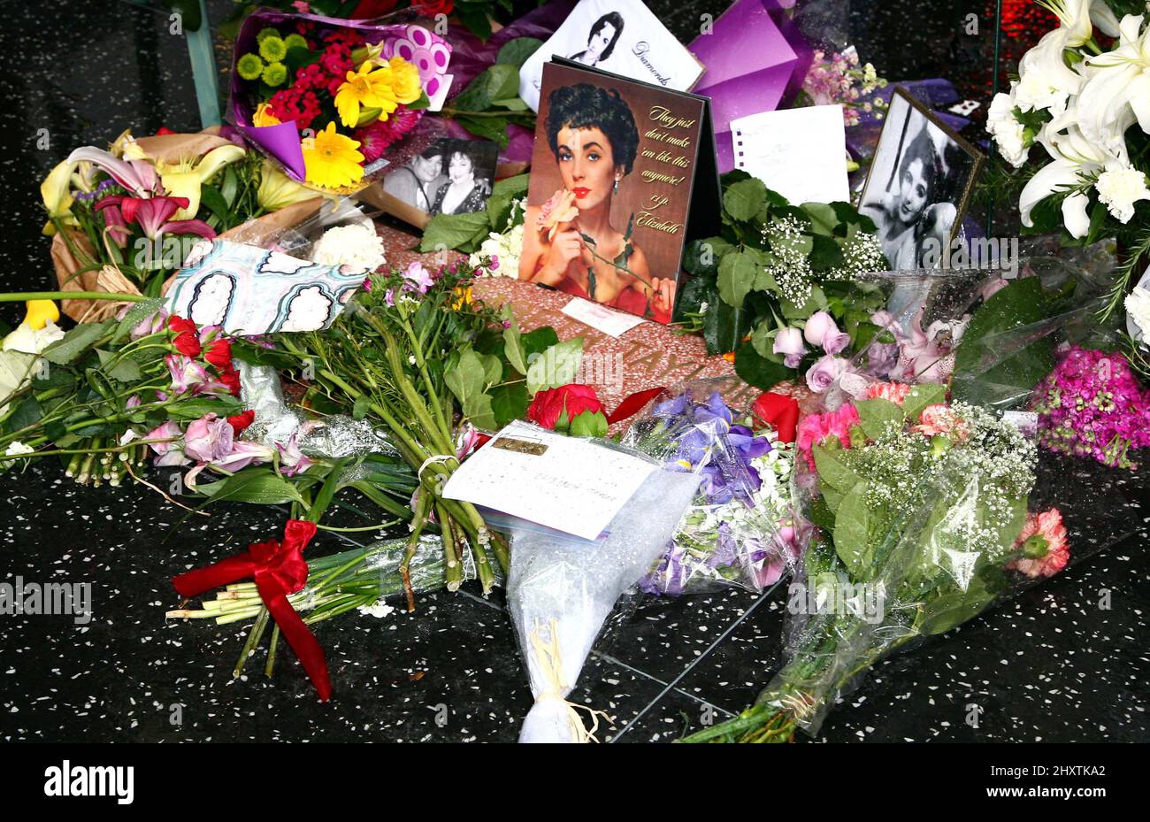Flowers Placed on the Hollywood Walk of Fame Star for Elizabeth Taylor ...