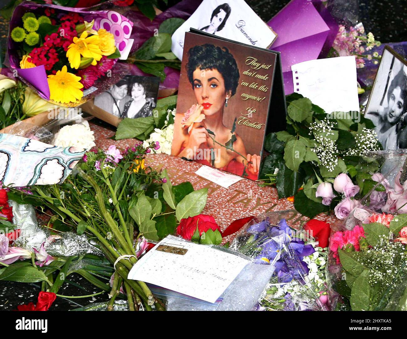 Flowers Placed on the Hollywood Walk of Fame Star for Elizabeth Taylor ...