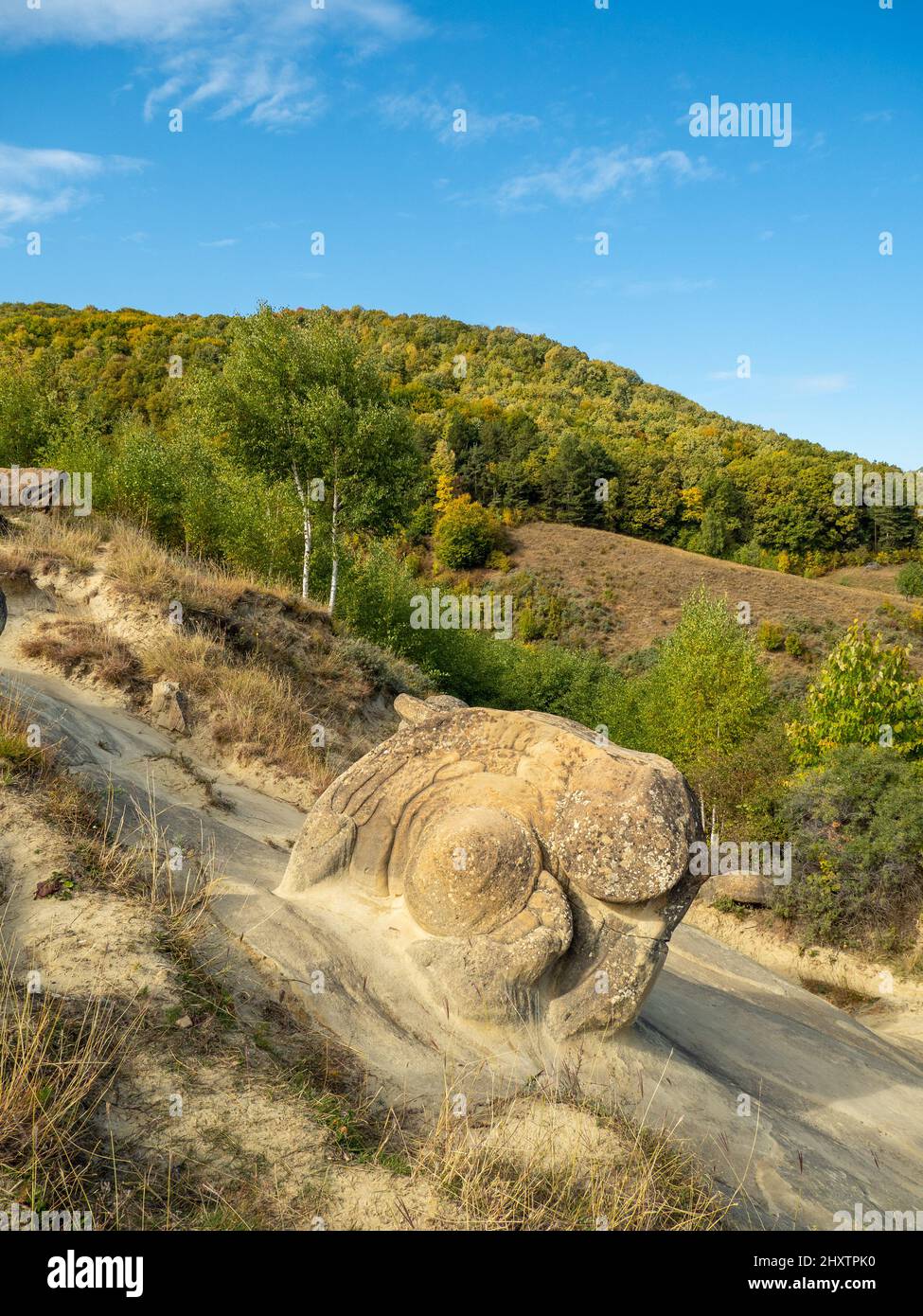 Ulmet hi-res stock photography and images - Alamy