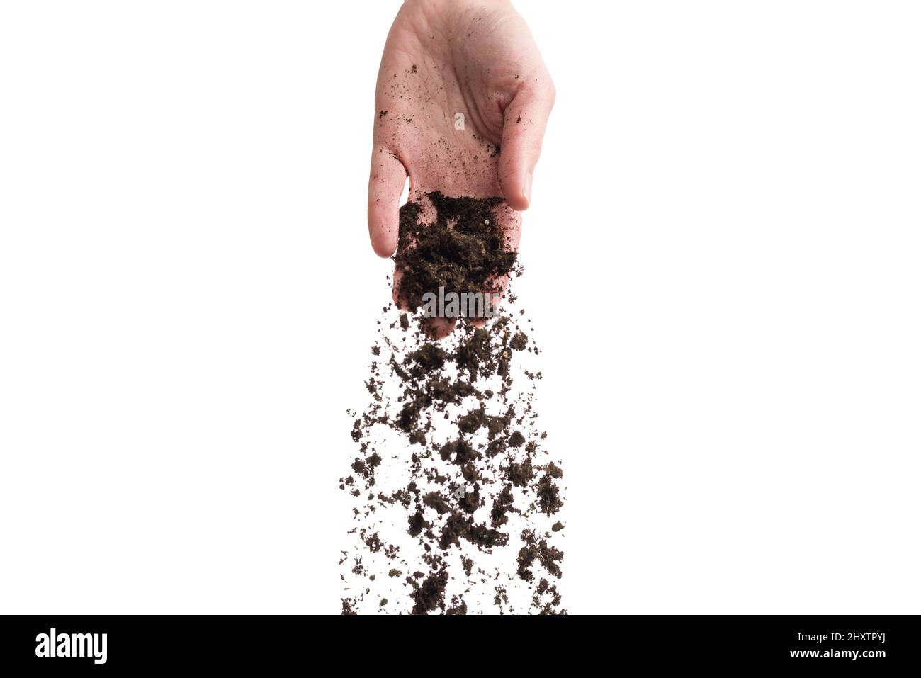 Brown soil in woman hands isolated on white background. The soil falls ...