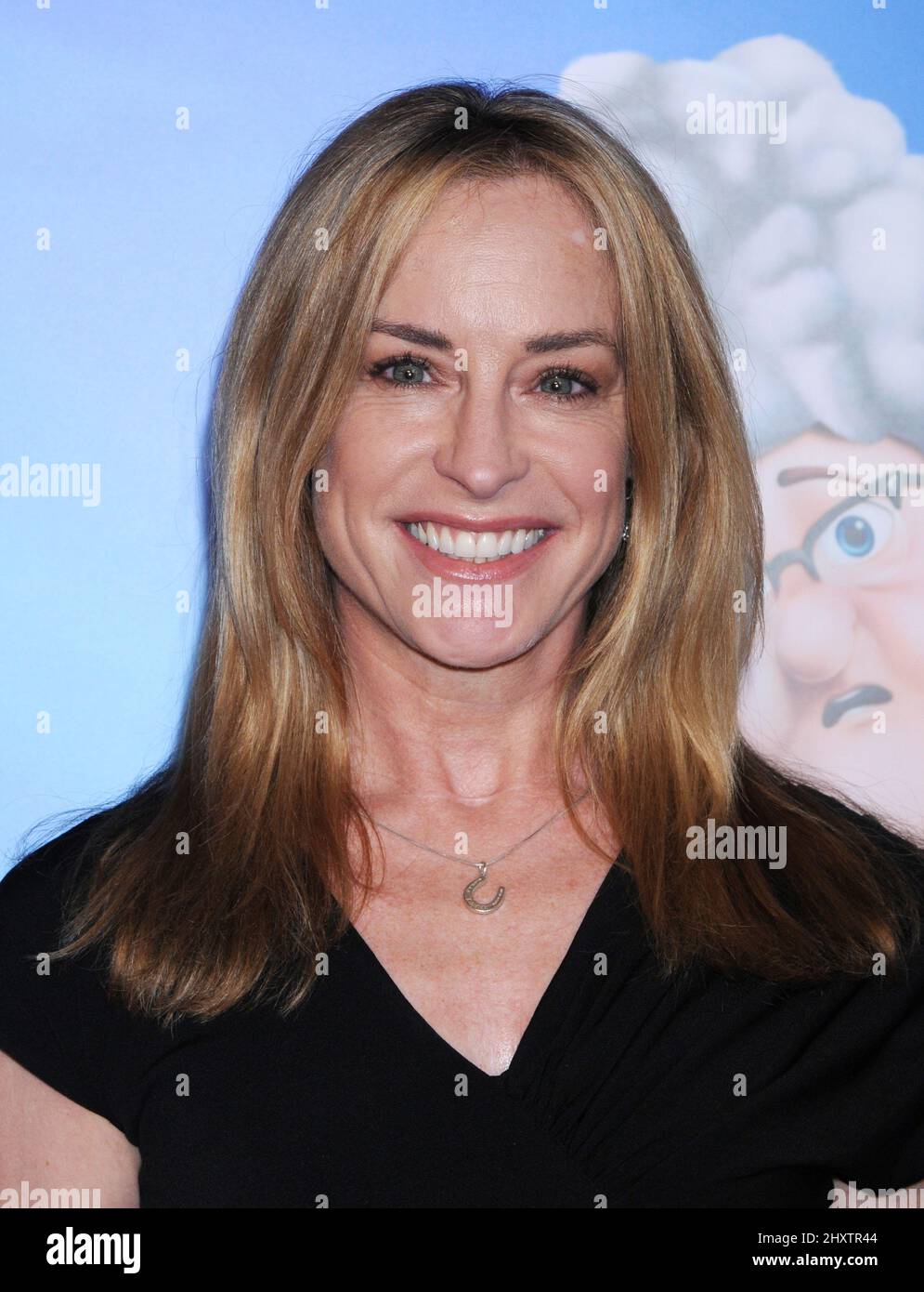 Amanda Wyss at the World Premier of "Hoodwinked Too! Hood vs. Evil ...