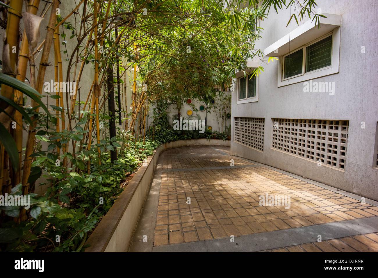 View of the garden with plants and trees near the building Stock Photo ...