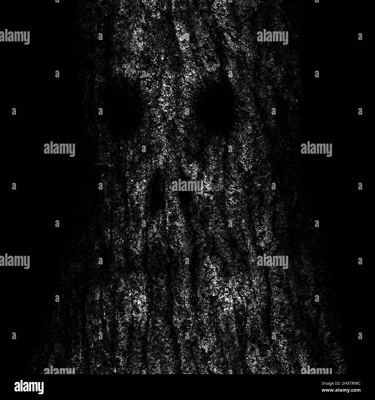 Skull features hi-res stock photography and images - Alamy