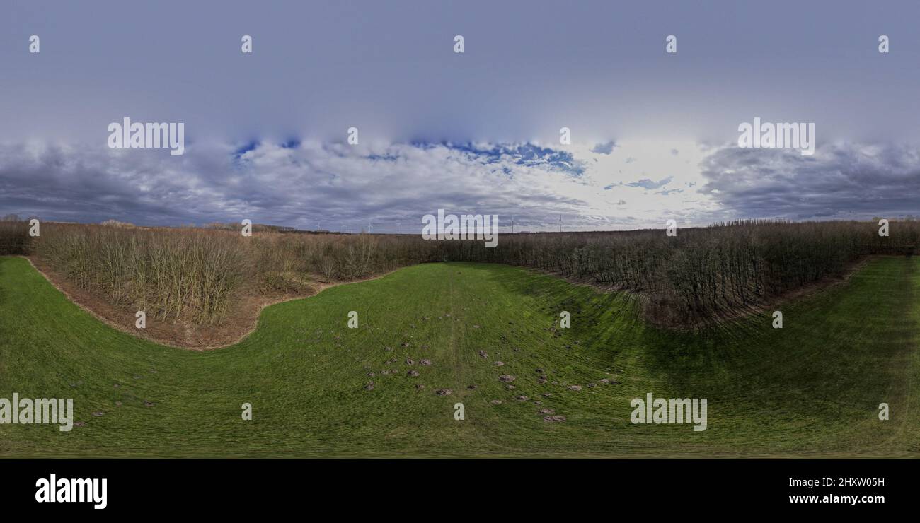 Landscaping design in contrast green Stock Photo - Alamy