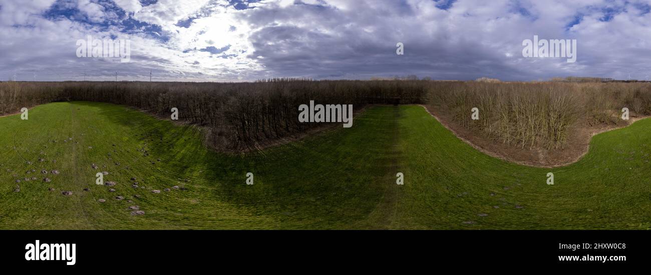 Landscaping design in contrast green Stock Photo - Alamy