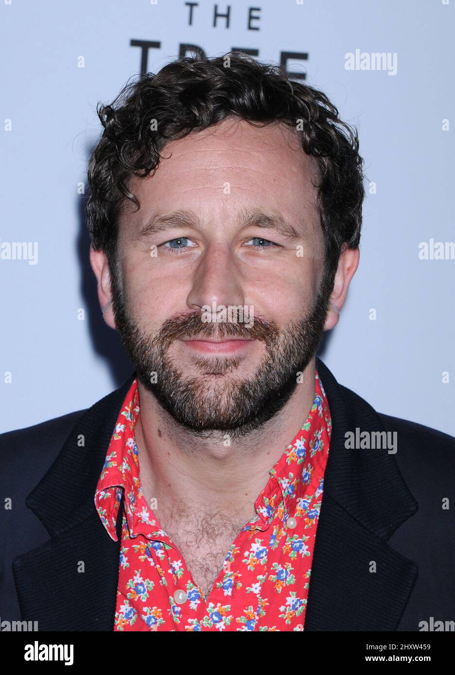 Chris O'Dowd at the 'Tree of Life' Los Angeles premiere held at the ...