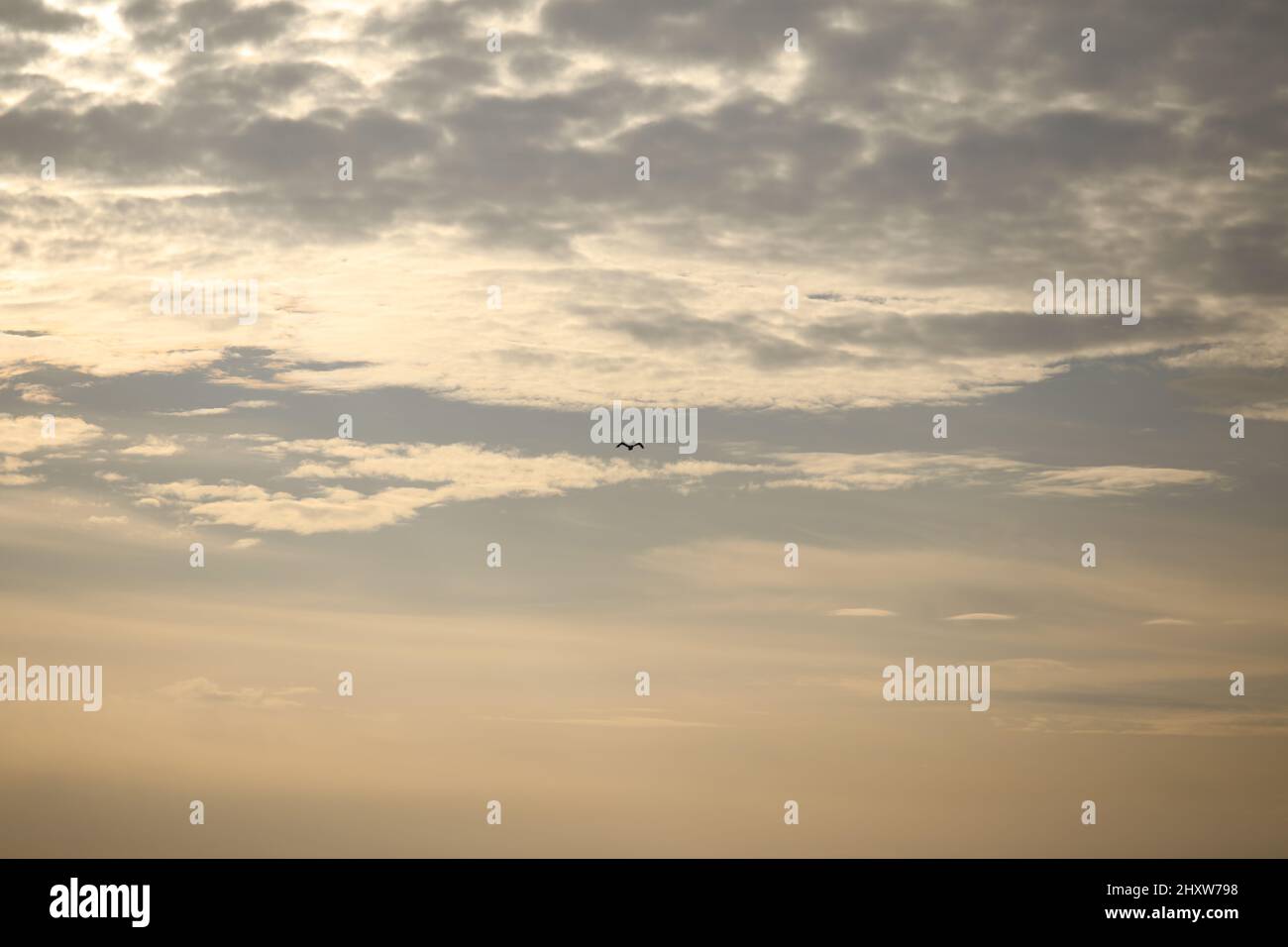 low waves on the shore of a beach High quality Stock Photo - Alamy