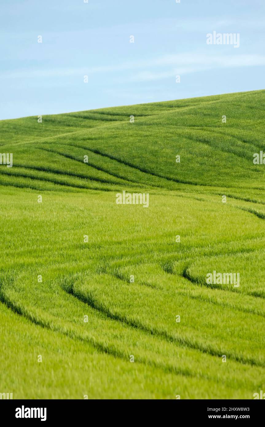 Geeen hi-res stock photography and images - Alamy