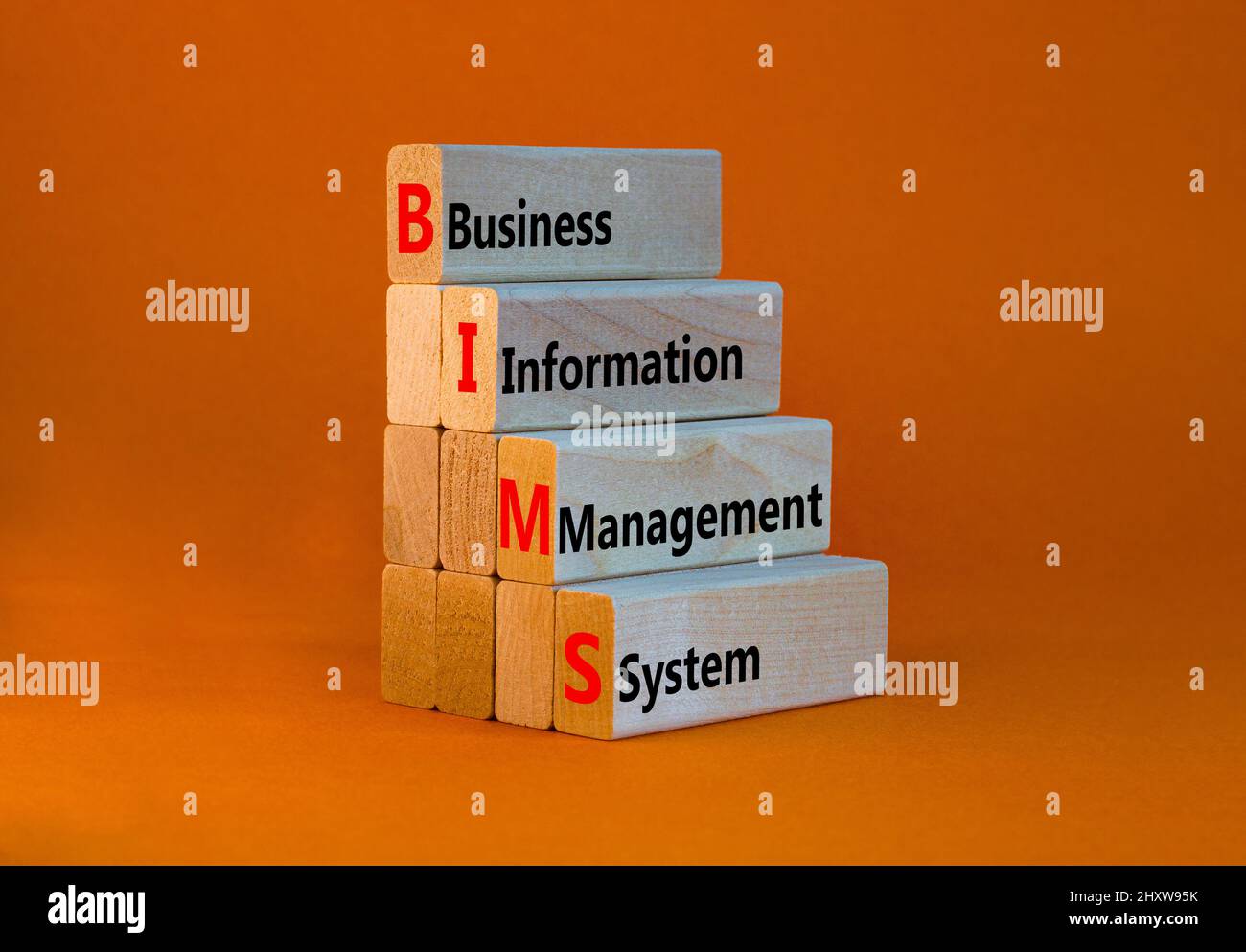 BIMS, Business information management system symbol. Concept words BIMS ...
