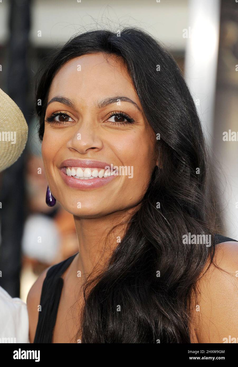 Rosario Dawson at the "Zookeeper" Premiere held at the Regency Village ...