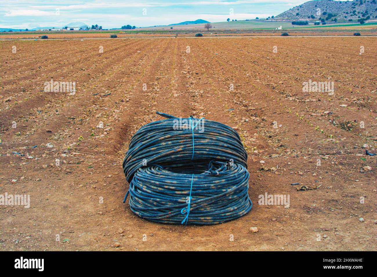 Vegetable irrigation piping in Murcia Stock Photo - Alamy