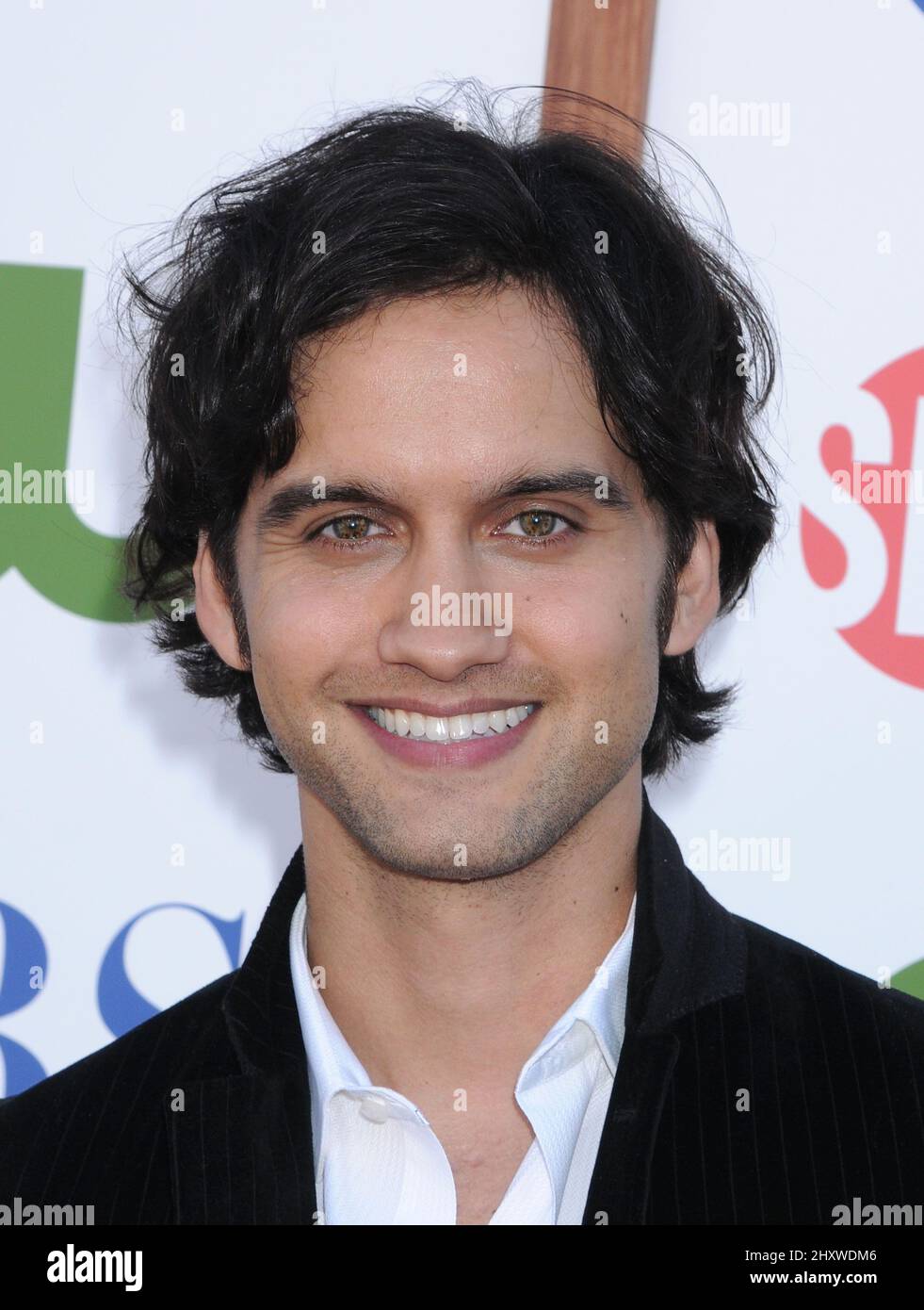 Michael Steger during the CBS,The CW And Showtime TCA Party held at The Pagoda, California Stock ...