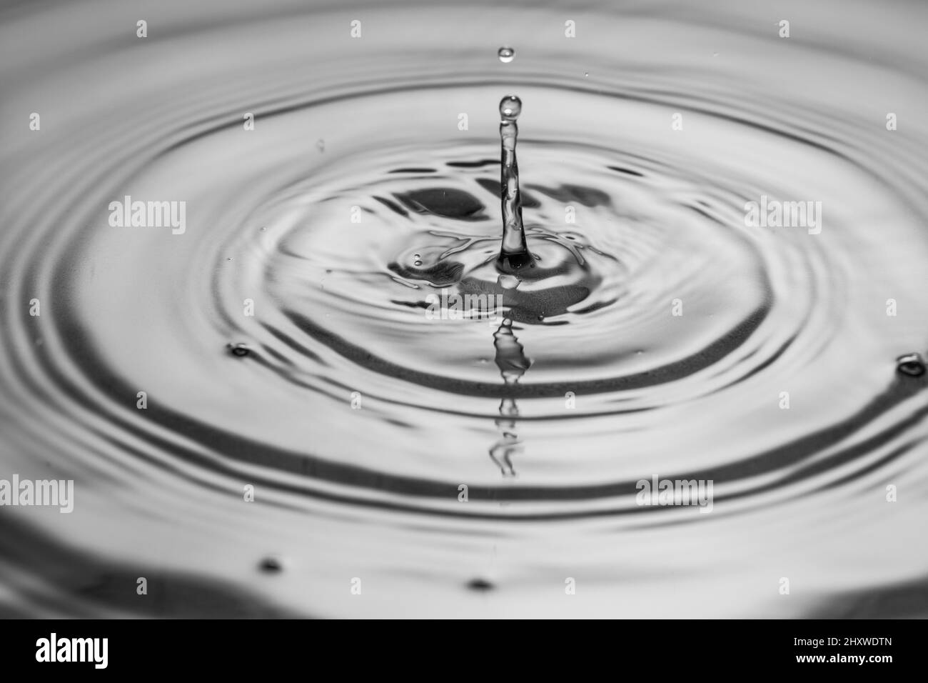 Water droplet falling into pond hi-res stock photography and images - Alamy