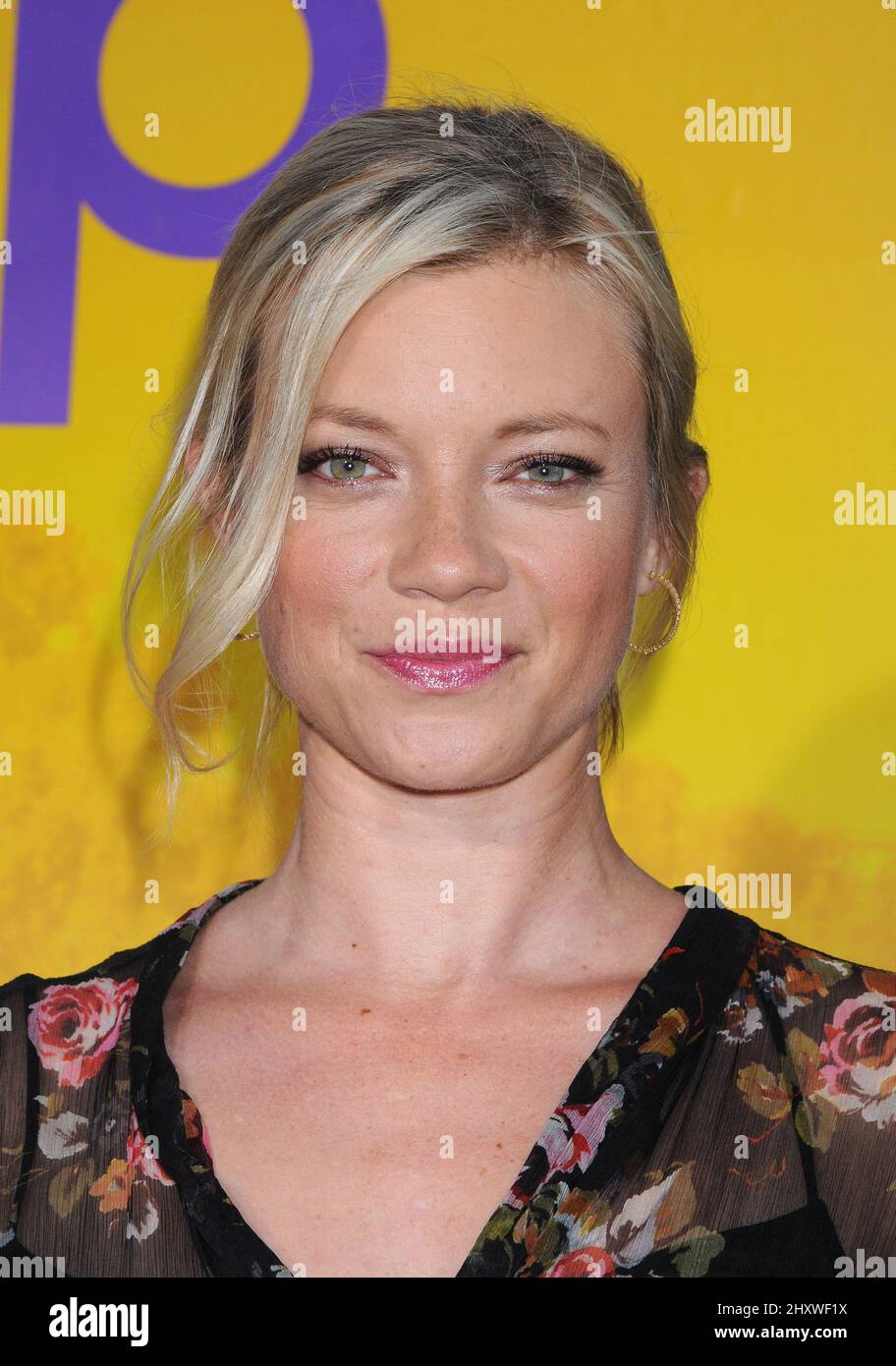 Amy Smart Net Worth
