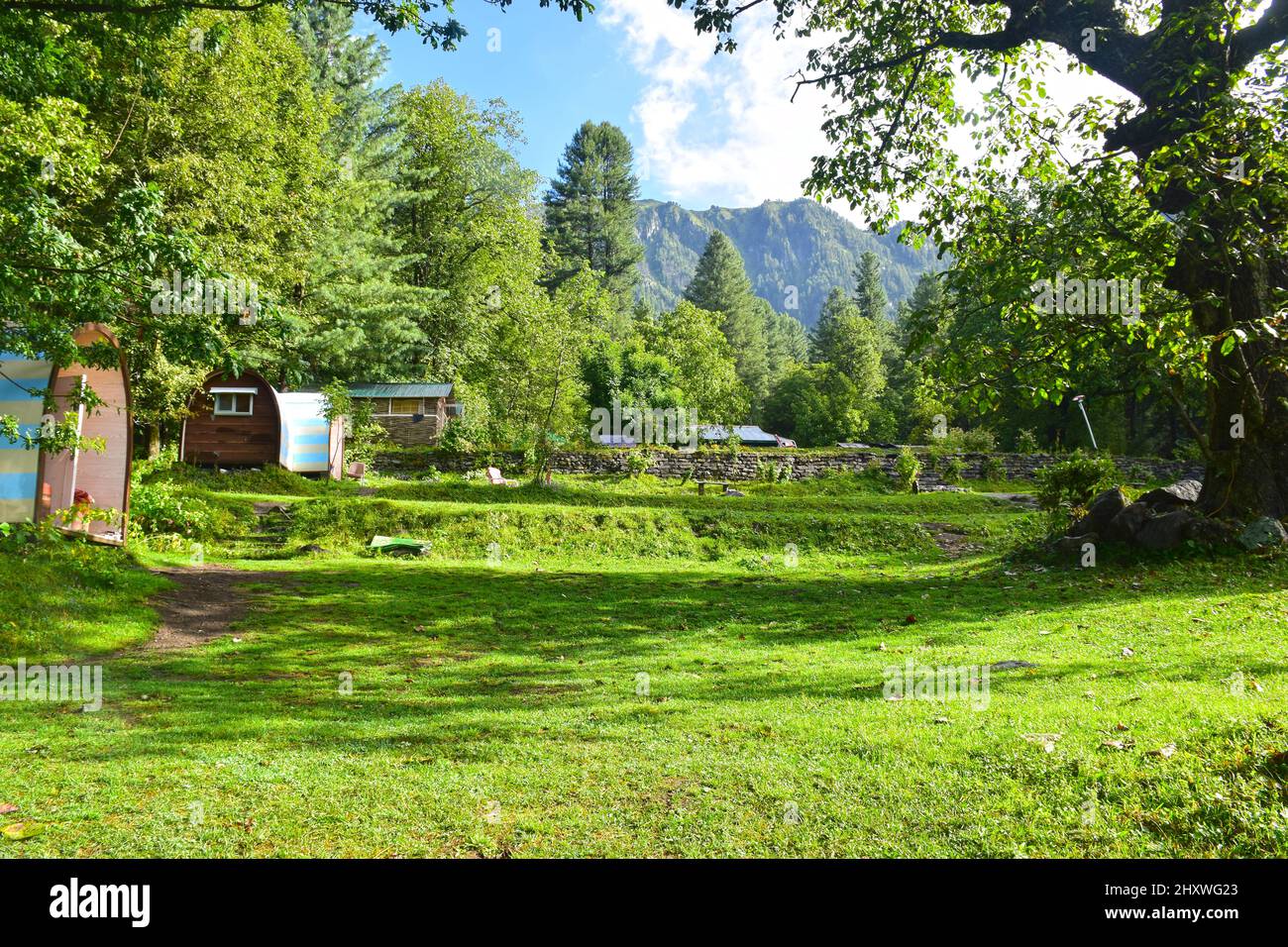 Aerial shot of a beautiful forest on a sunny summer day Stock Photo - Alamy