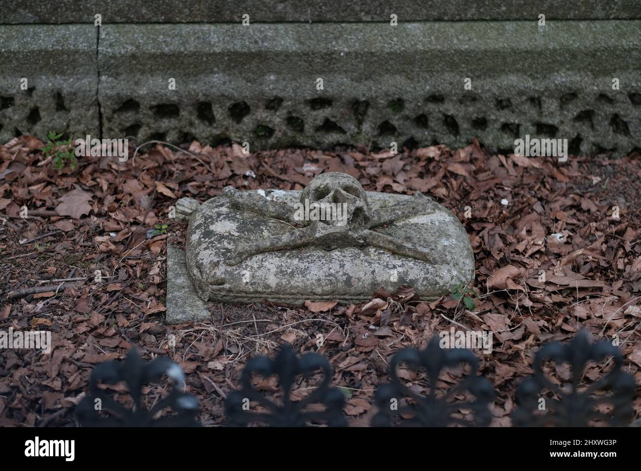 Small gravestone on the ground with a skull ornament surrounded with ...