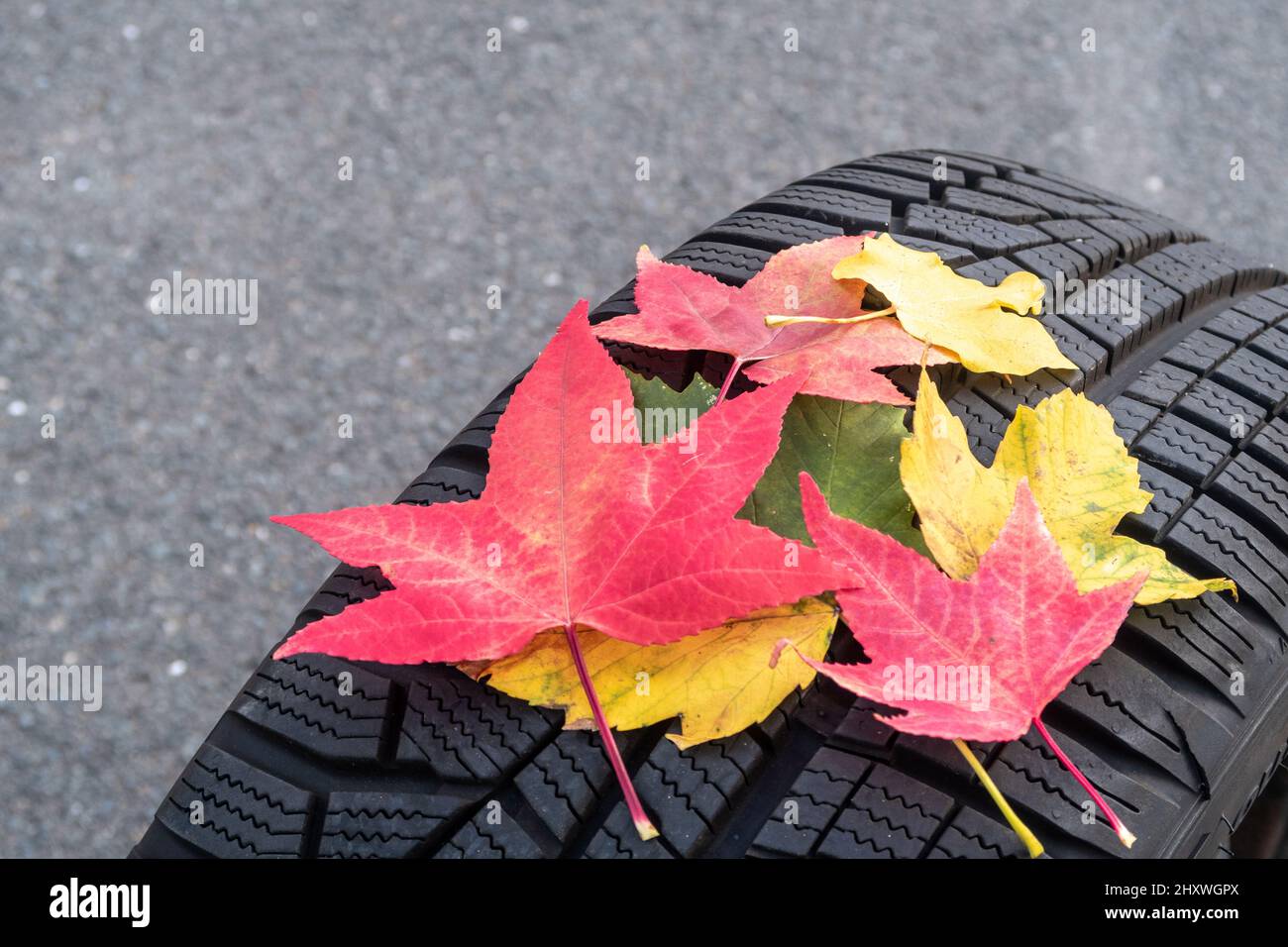 Autumn leaves on a rubber winter tire Stock Photo - Alamy