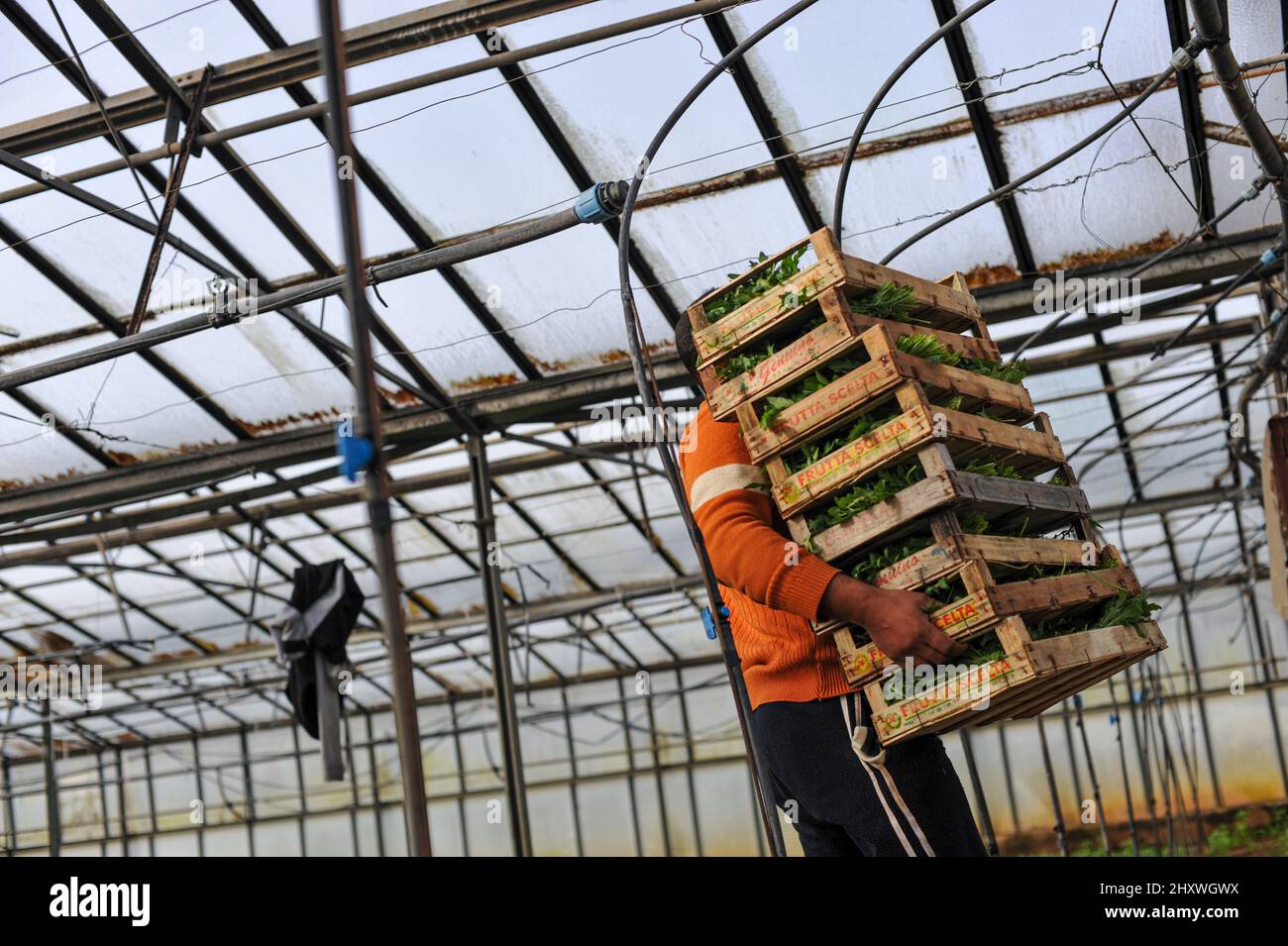 Indian agriculture farm hi-res stock photography and images - Alamy