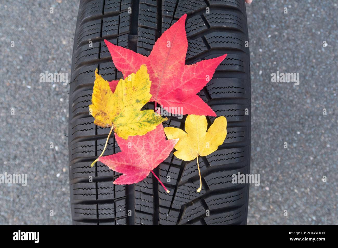 Autumn leaves on a rubber winter tire Stock Photo - Alamy