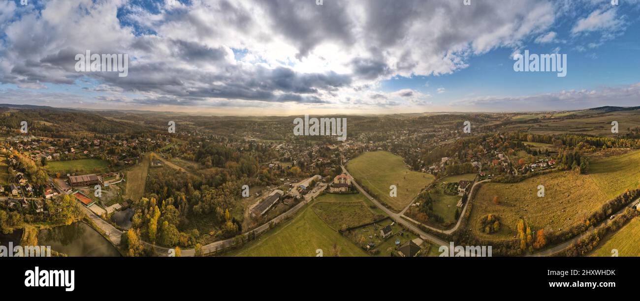 Panorama view of a beautiful forest on a sunny summer day Stock Photo ...