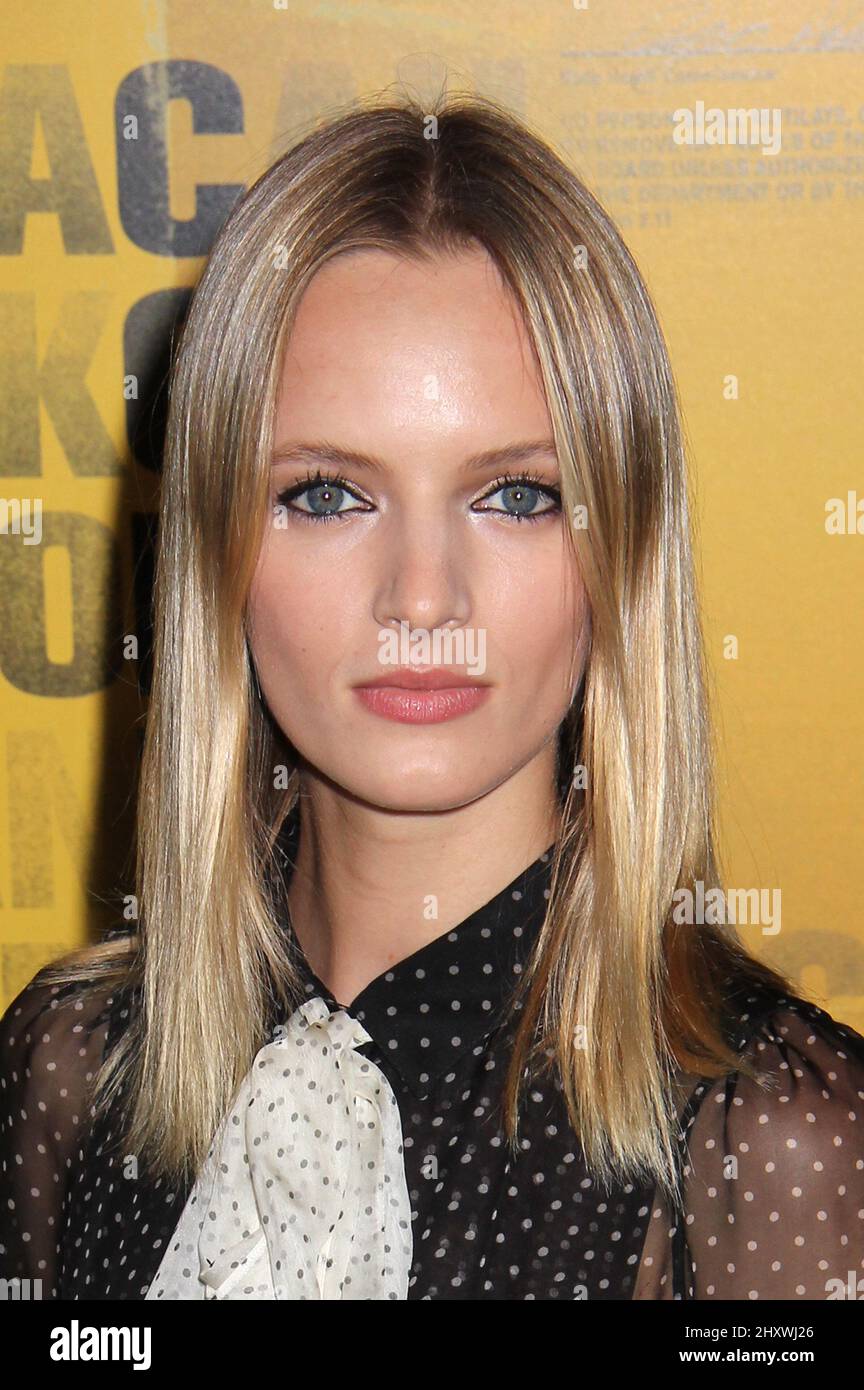 Daria rose hi-res stock photography and images - Alamy