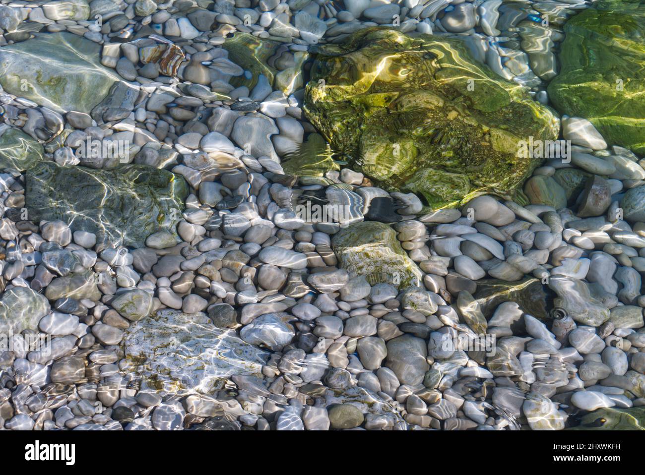 Mossy rocks and gray pebbles seen through the transparent water Stock ...