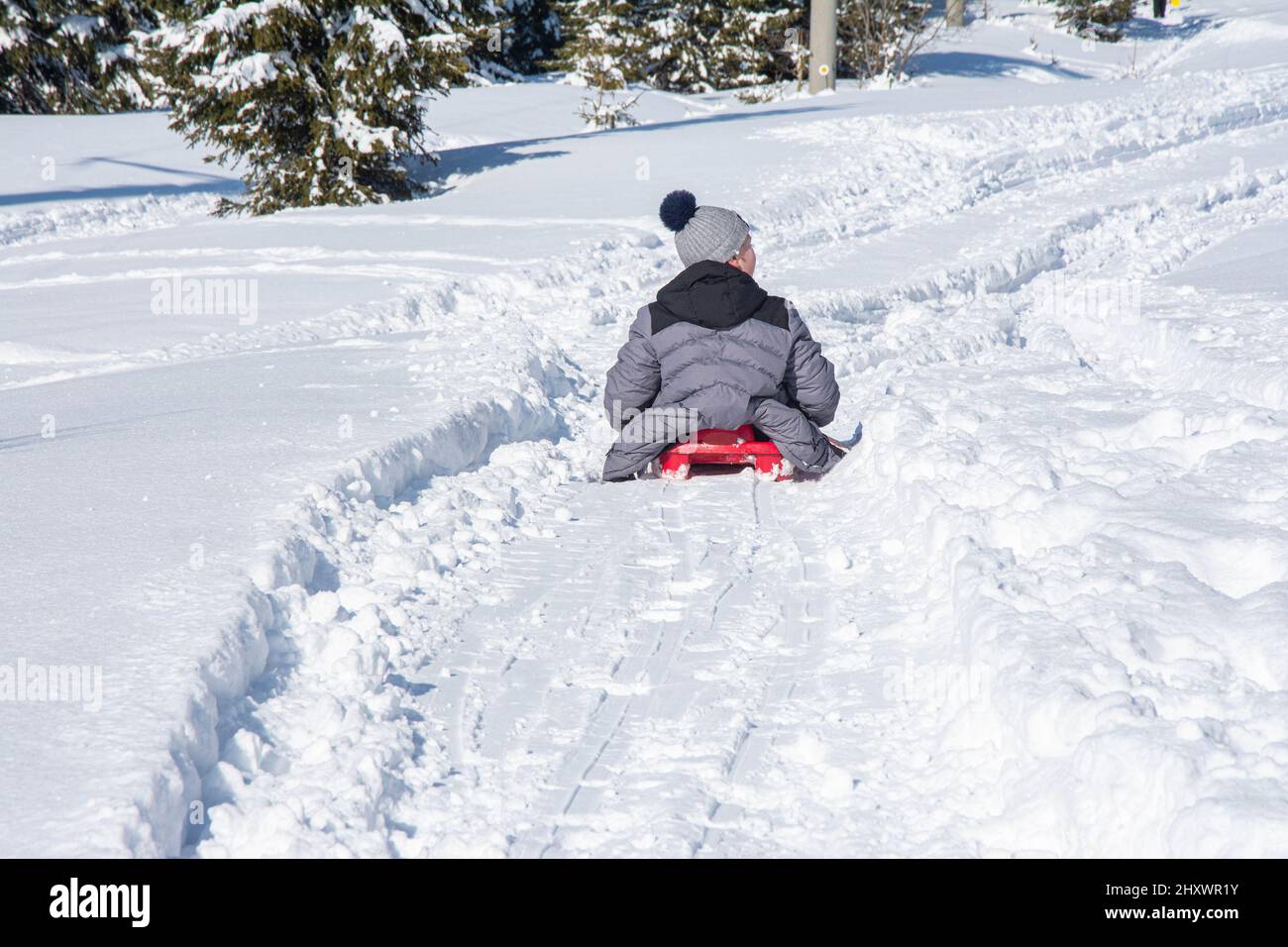 Playing with the sled in the snowy mountain Stock Photo - Alamy