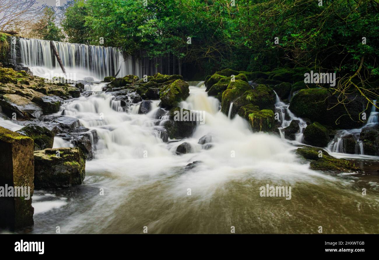 Mesmerizing view of the waterfall in the forest with dense greenery on ...