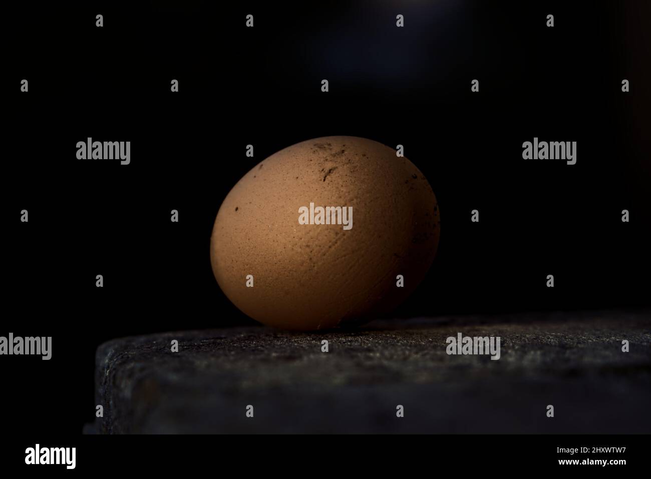 Minimal still life egg hi-res stock photography and images - Alamy