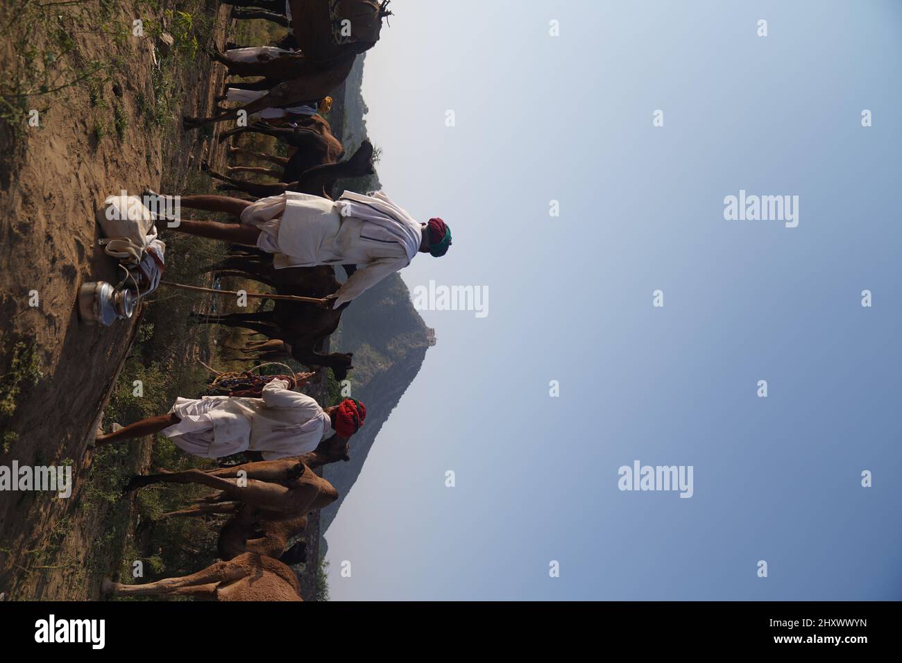 Camel drivers with the animals in a wilderness Stock Photo - Alamy