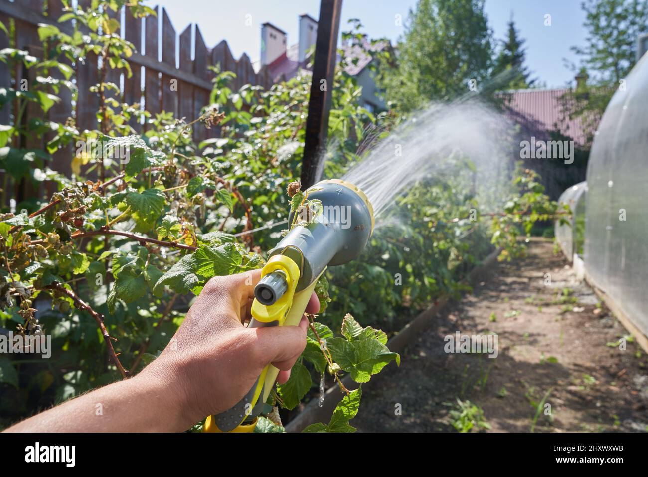 High pressure sprayer hi-res stock photography and images - Alamy