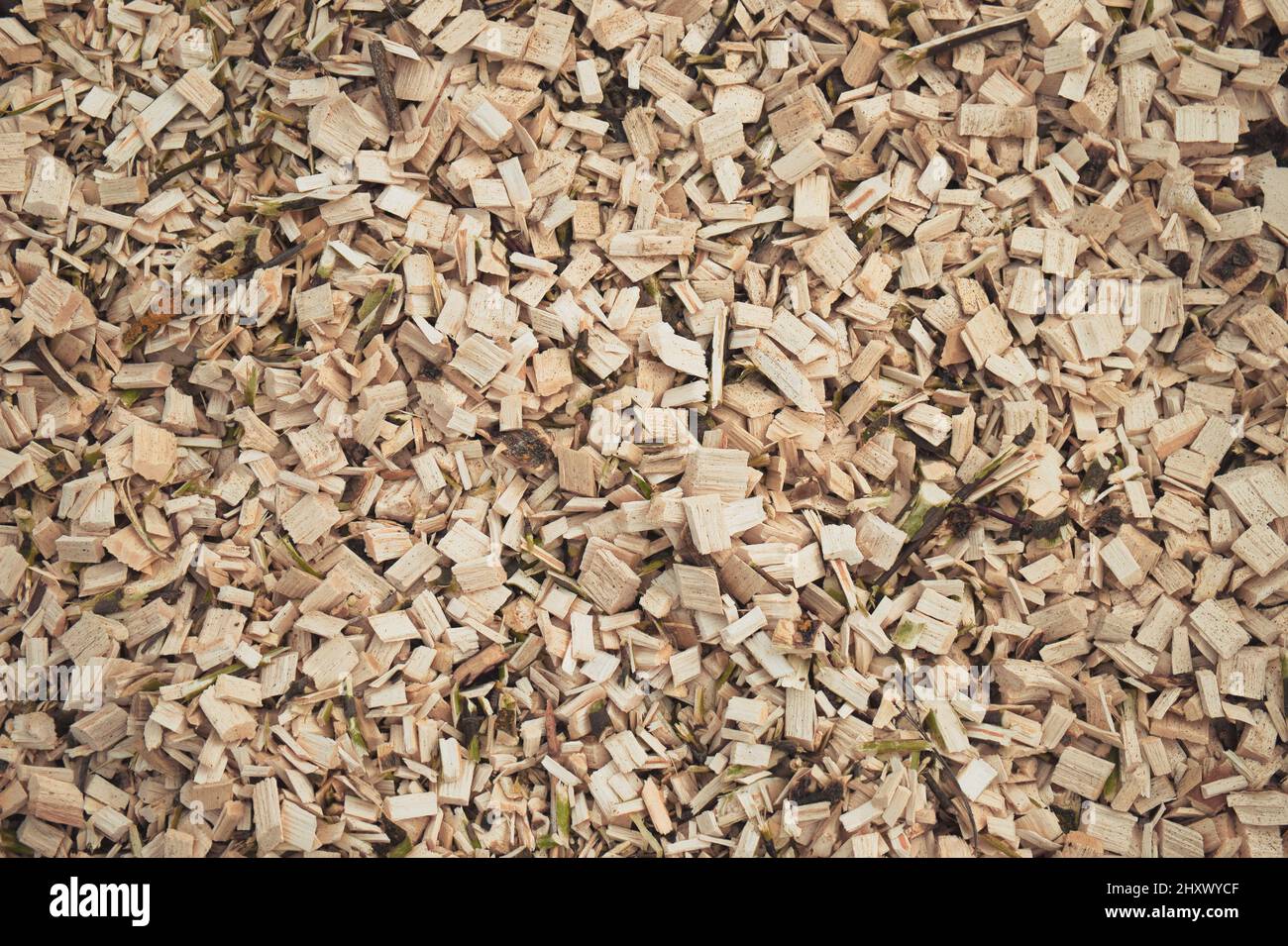 Abstract natural background of wood chips. Wood waste from the sawmill ...