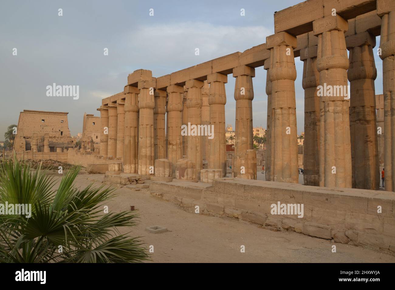 Sequence of columns of ancient Egyptian Luxor temple complex Stock ...