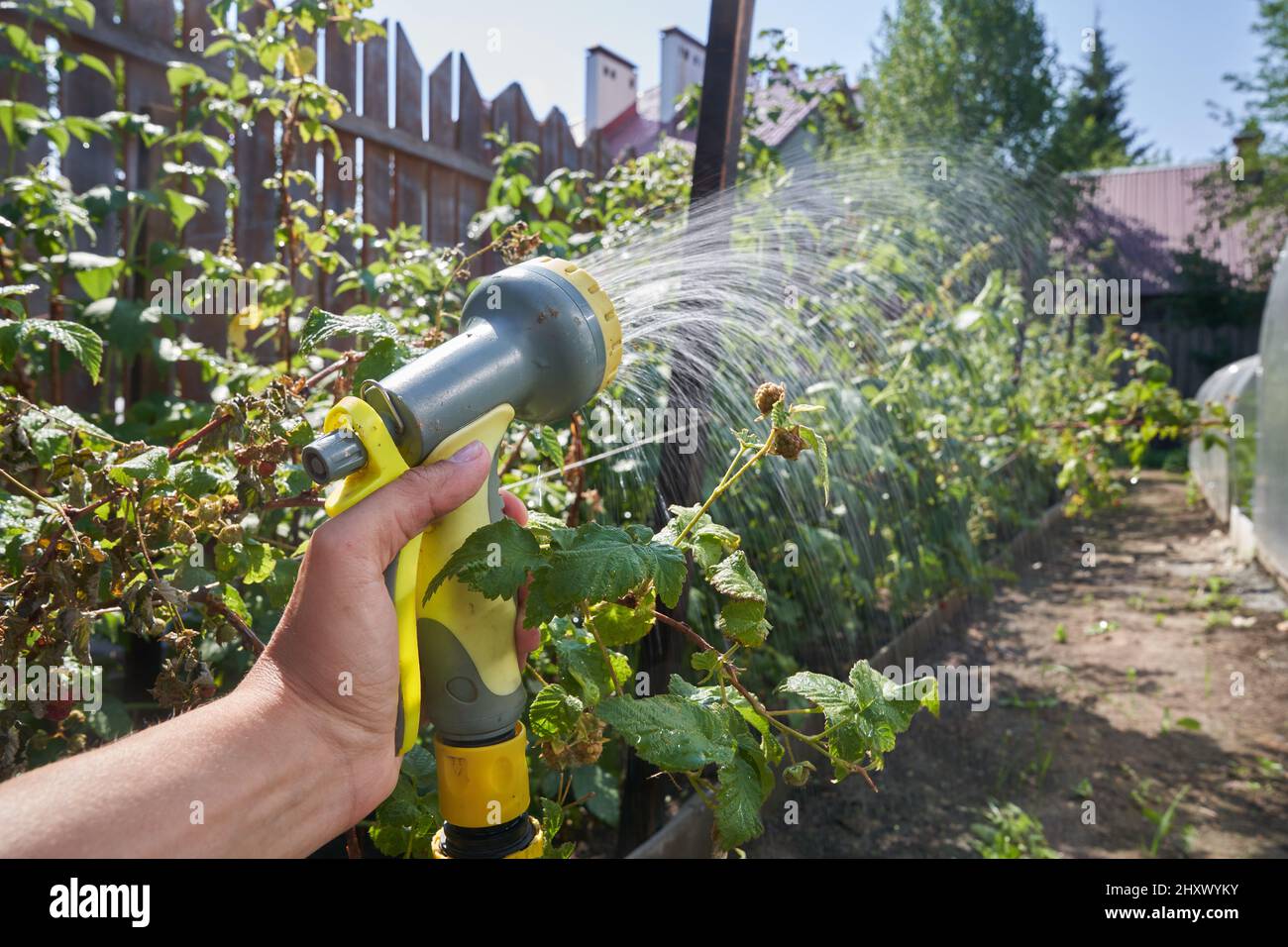 High pressure sprayer hi-res stock photography and images - Alamy