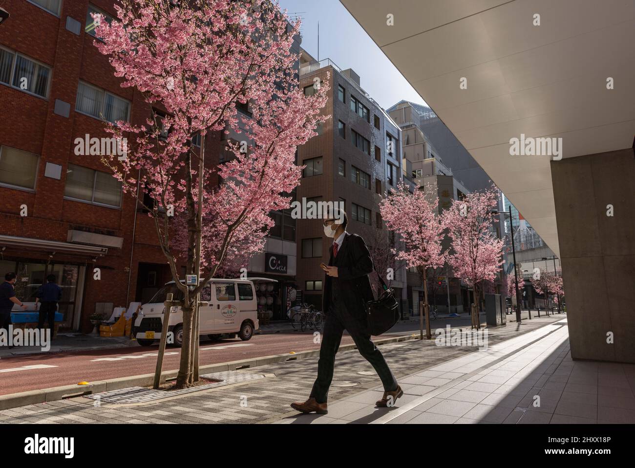 Tokyo, Japan. 14th Mar, 2022. Japanese businessman walks on a sidewalk ...