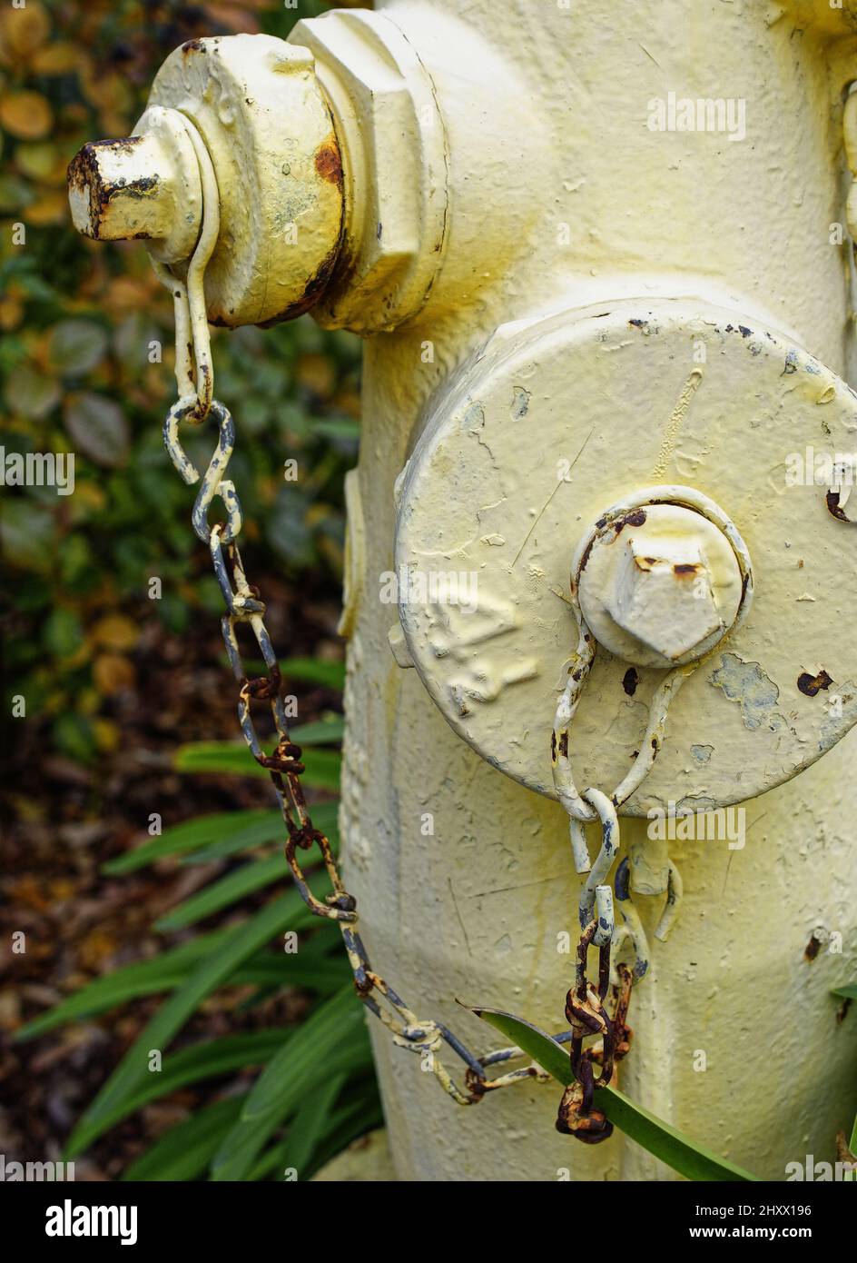 Vertical shot of yellow fire hydrant Stock Photo - Alamy
