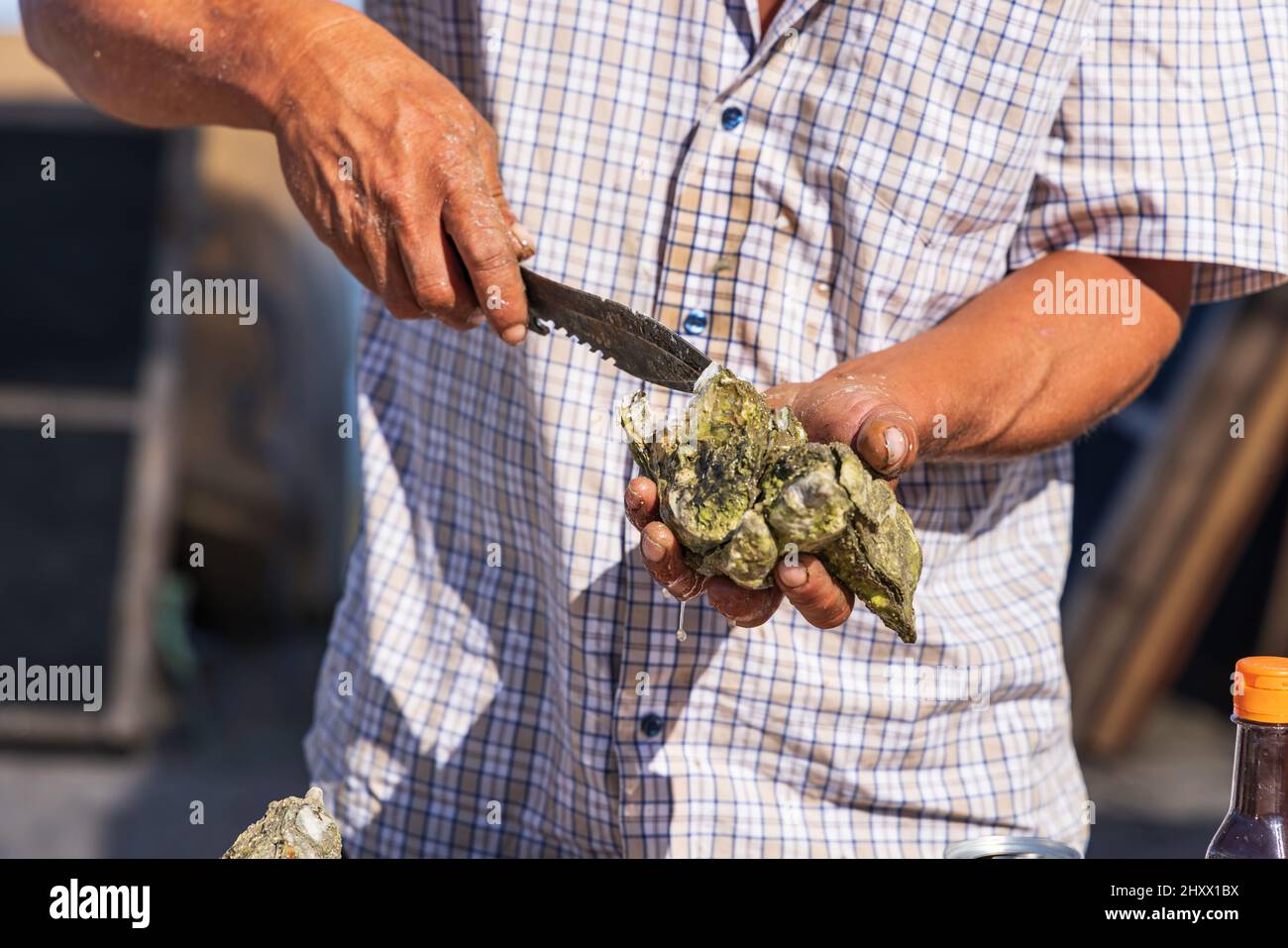 Guerro Negro, Mulegé, Baja California Sur, Mexico. Oysters being served ...