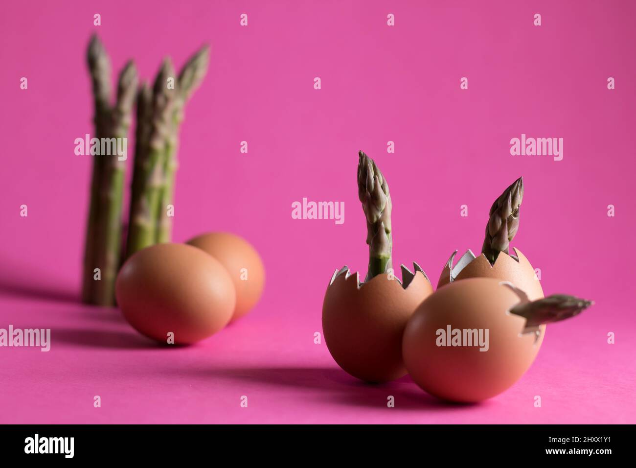 And cracked egg shells and tree twigs in them with several out of focus ...