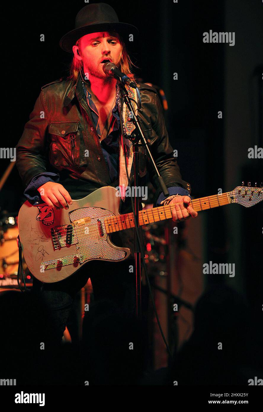 Chad wolf of carolina liar hi-res stock photography and images - Alamy