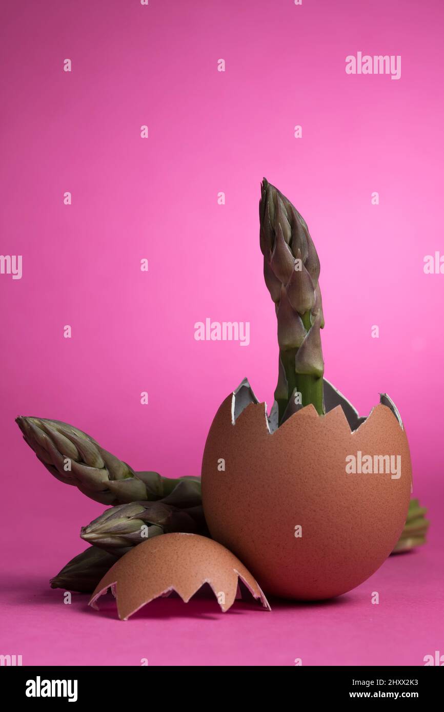 Vertical shot of broken and cracked egg shells and twigs in them in a ...