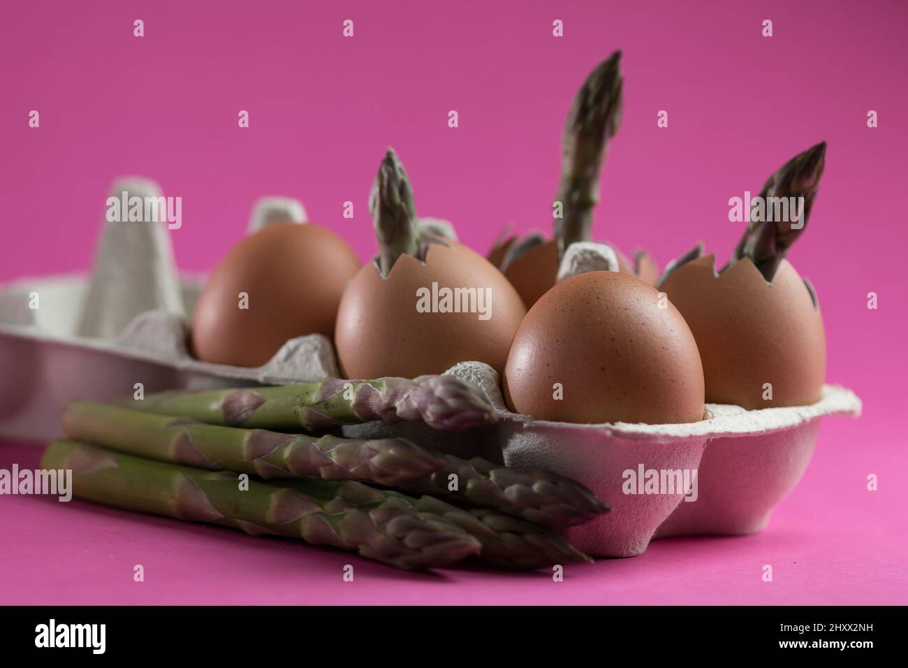 Cracked egg shells in an egg container with tree twigs in and around ...