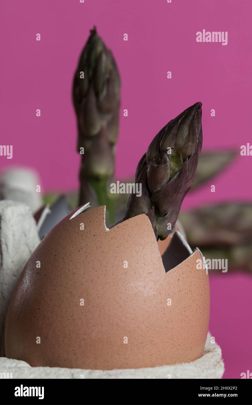 Vertical shot of broken and cracked egg shells and twigs in them in a ...