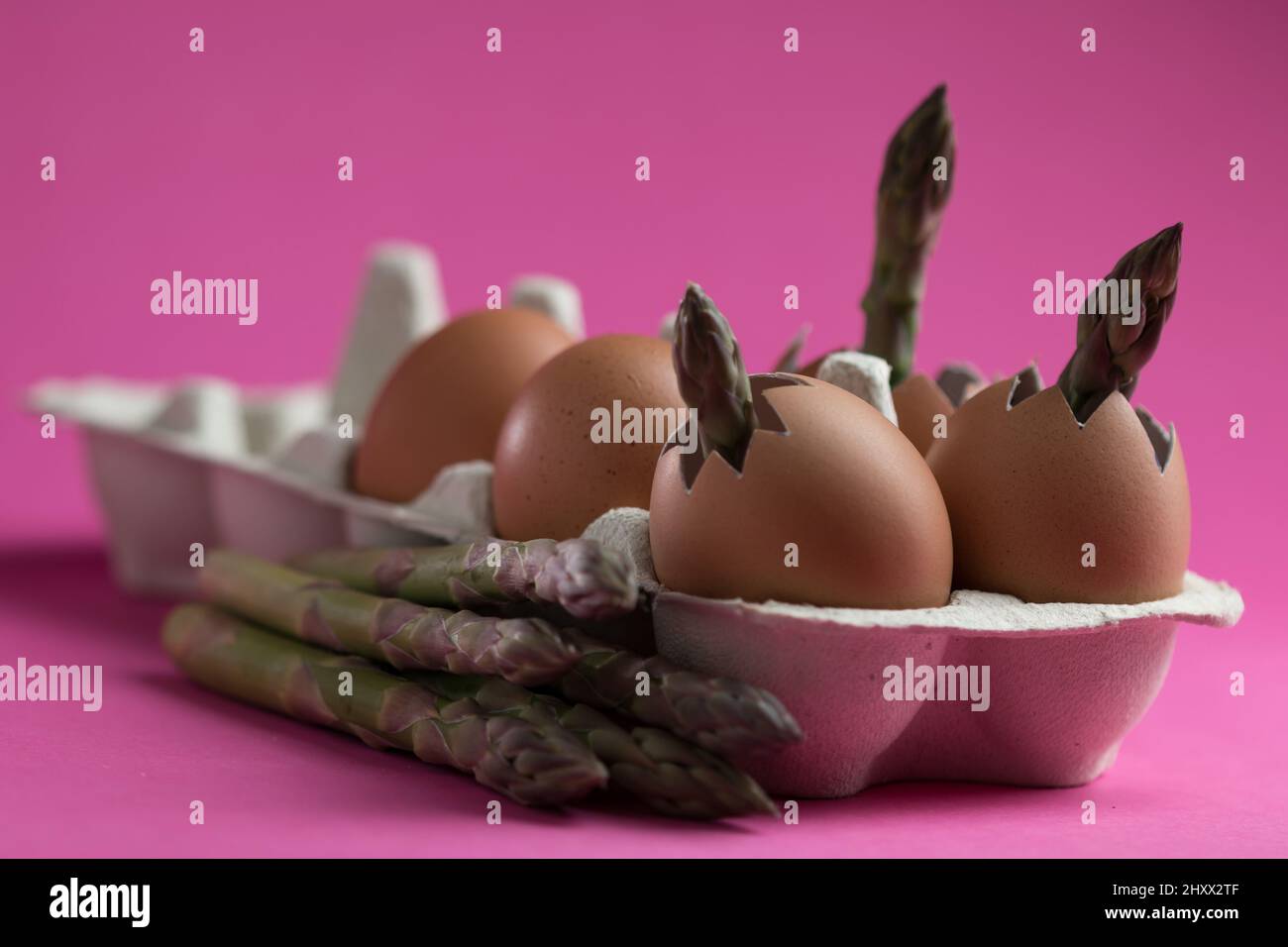 Cracked egg shells in an egg container with tree twigs in and around ...