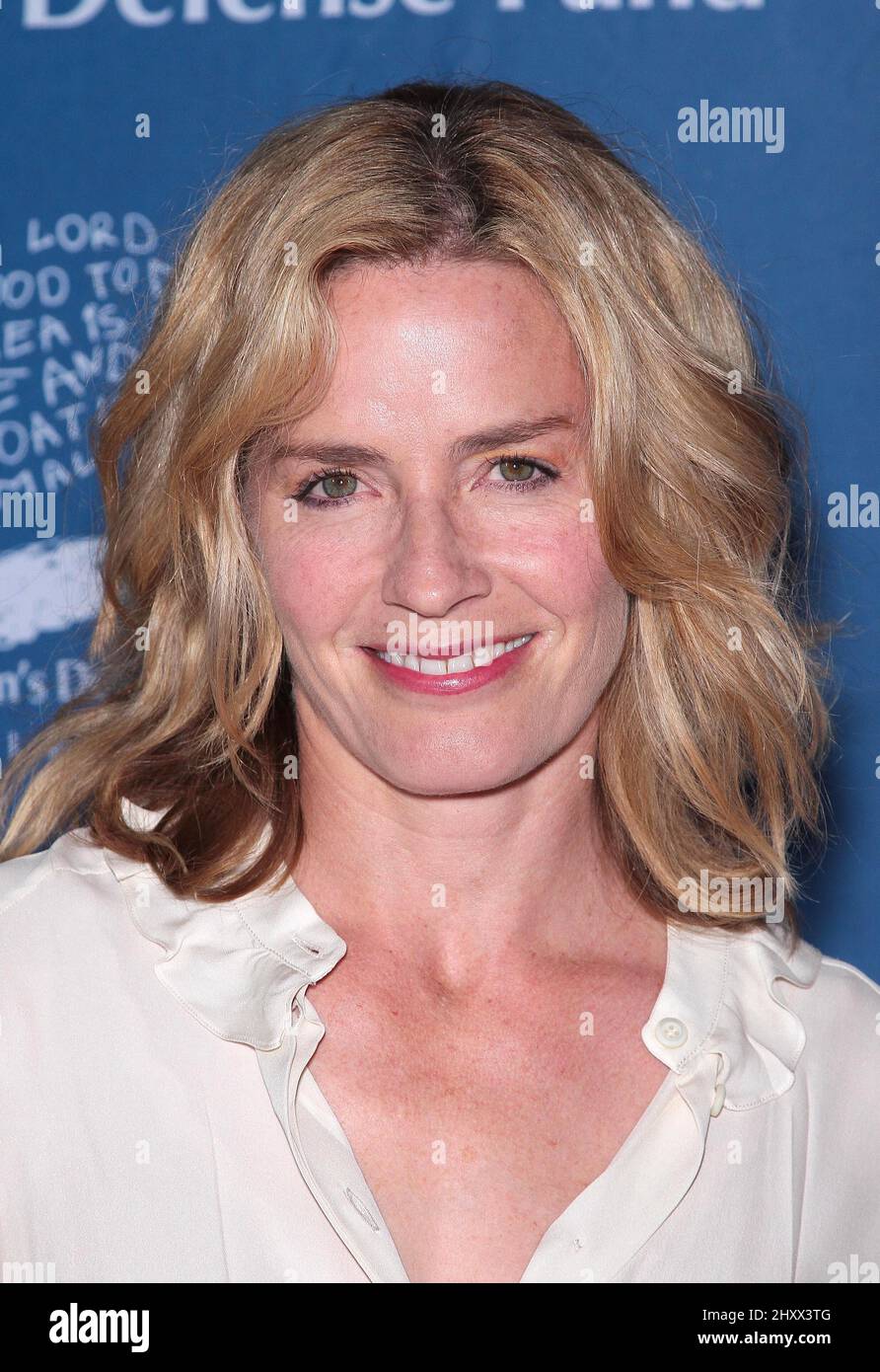 Elisabeth Shue attends The Children's Defense Fund's 21st Annual Beat ...