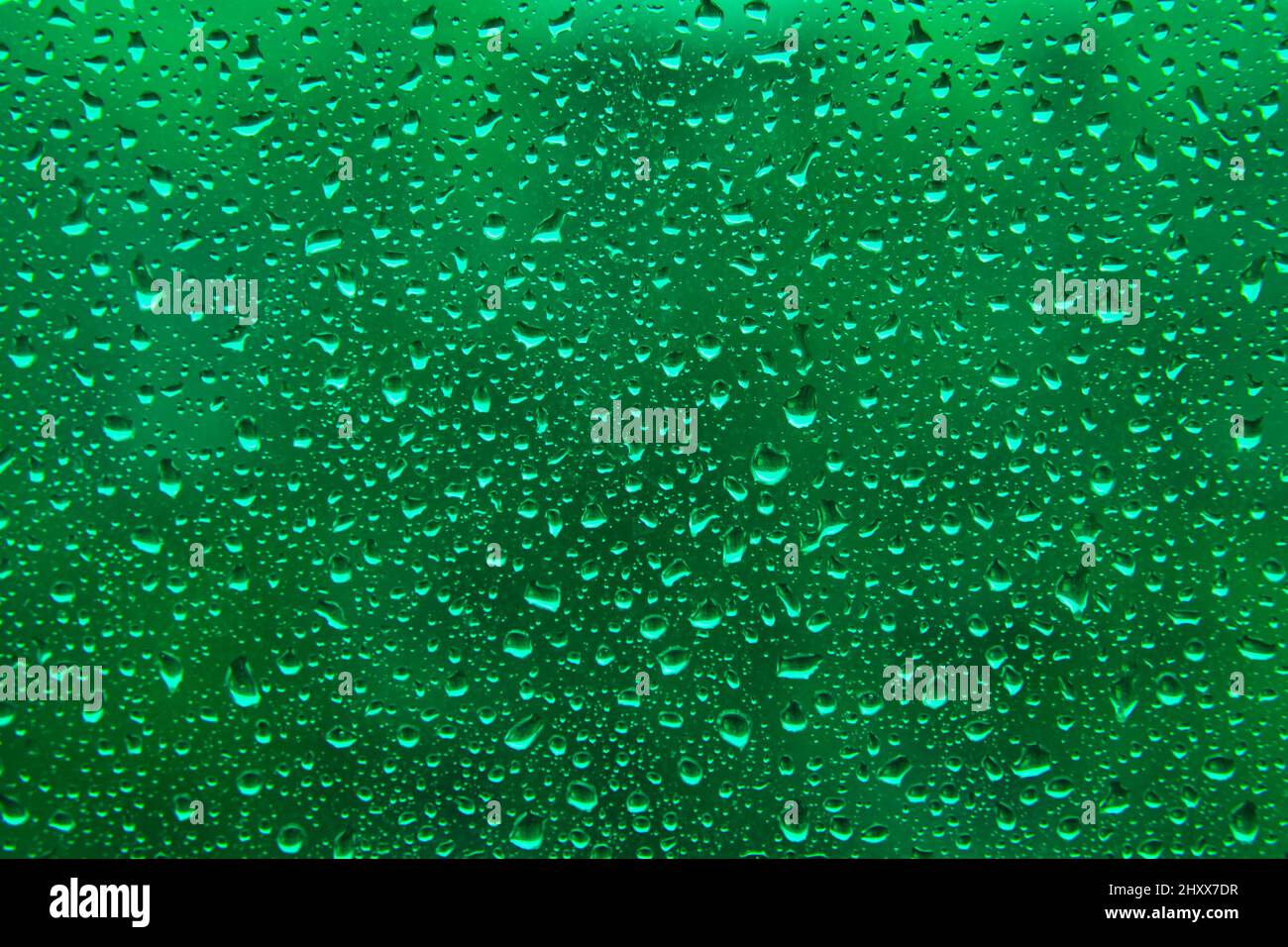 Water rain drops on acid green surface as background. Abstract backdrop ...