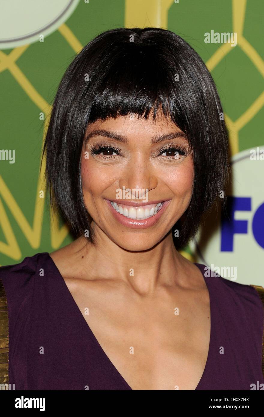 Tamara Taylor during the FOX TCA Winter Press Tour All-Star Party held ...