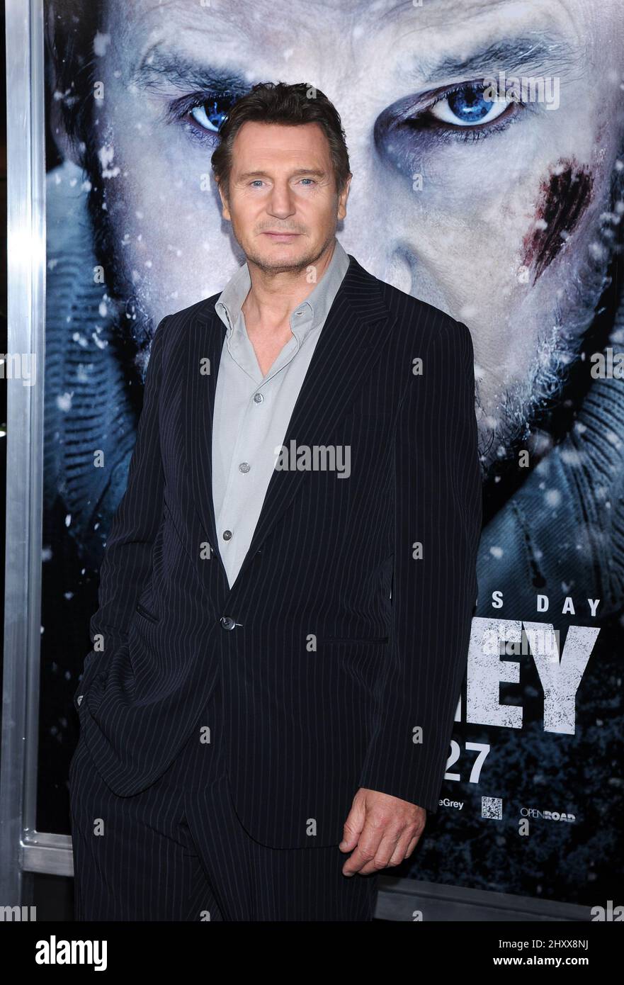 Liam Neeson at the world premiere of "The Grey" at The Regency Cinemas ...